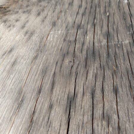 Air Dried Oak Beams | Whitmore's Timber