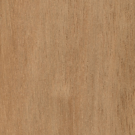 Thermo Ayous | Whitmore's Timber