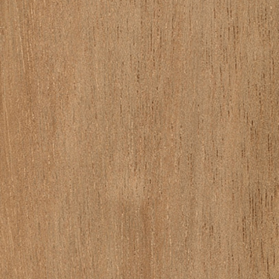 Thermo Ayous | Whitmore's Timber