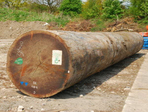Hardwood Timber Suppliers | UK & Online | Whitmore's Timber